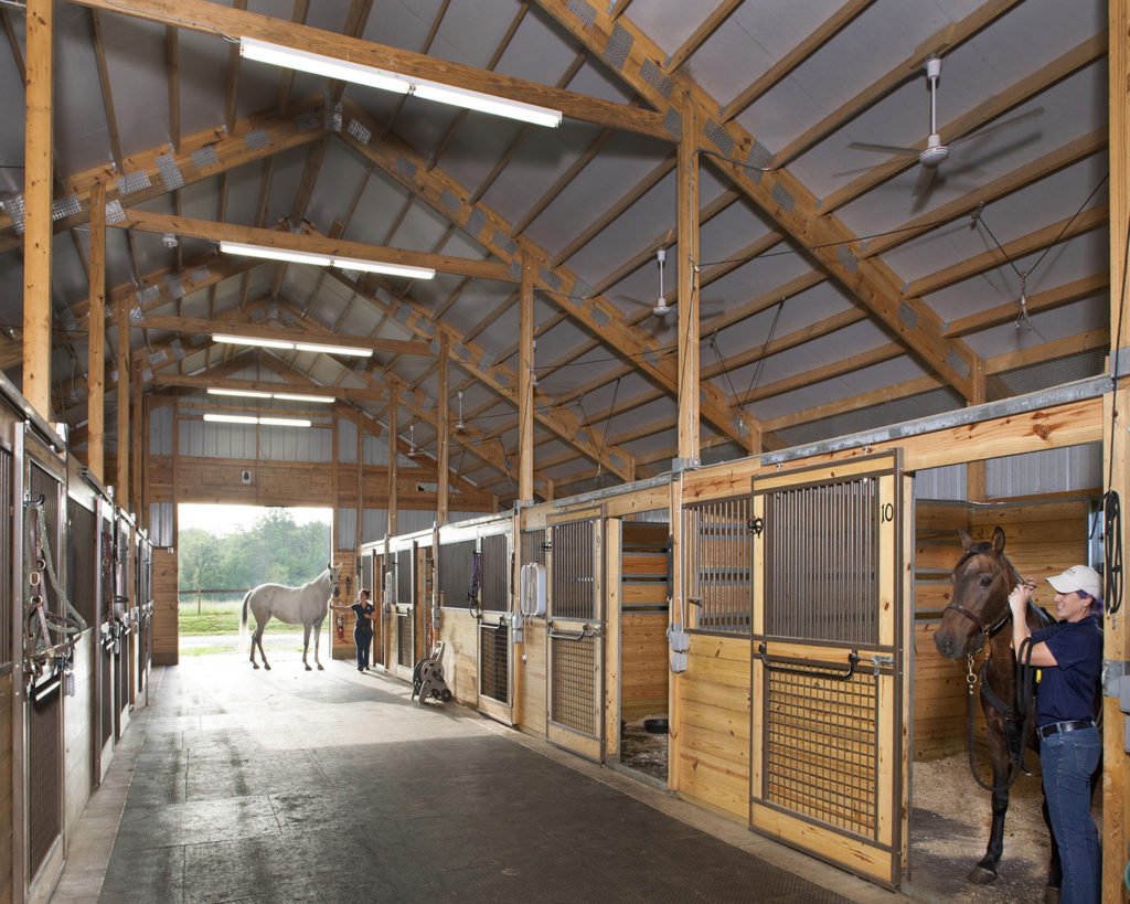 Designing from the Patient’s Perspective - Horses - Animal Arts