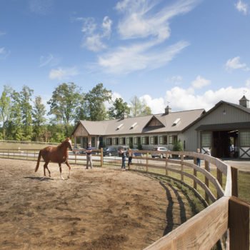 Tryon Equine Hospital – Animal Arts