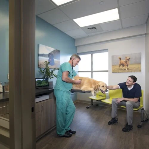 Ethos Veterinary Emergency and Referral Center - Animal Arts