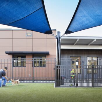 Arizona Humane Society Papago Park Campus - Animal Arts